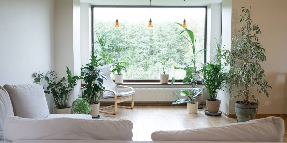 Beyond Energy Efficiency: Sustainable Building Materials | Synergy Homes