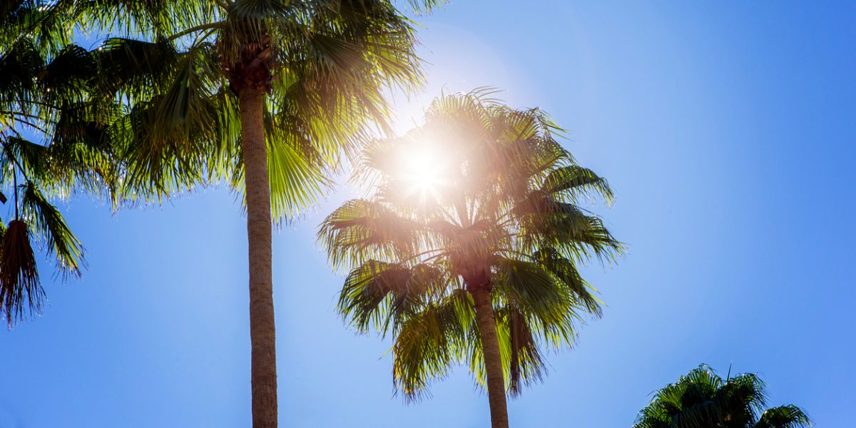 Why Moving to Florida from California is the Best Decision You’ll Ever Make