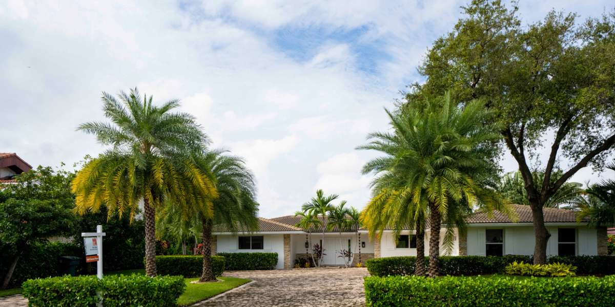 Houses for Sale Cape Coral: What You Need to Know| Synergy Homes