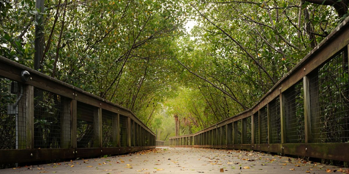 Are There Energy Efficient Homes in Port St. Lucie? | Synergy Homes