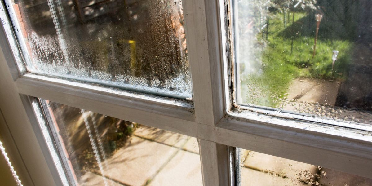 10 Design Tips for a Sustainable Hurricane Proof House in Florida ...